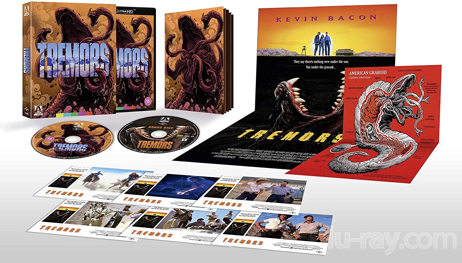 Arrow Video Announces December Releases