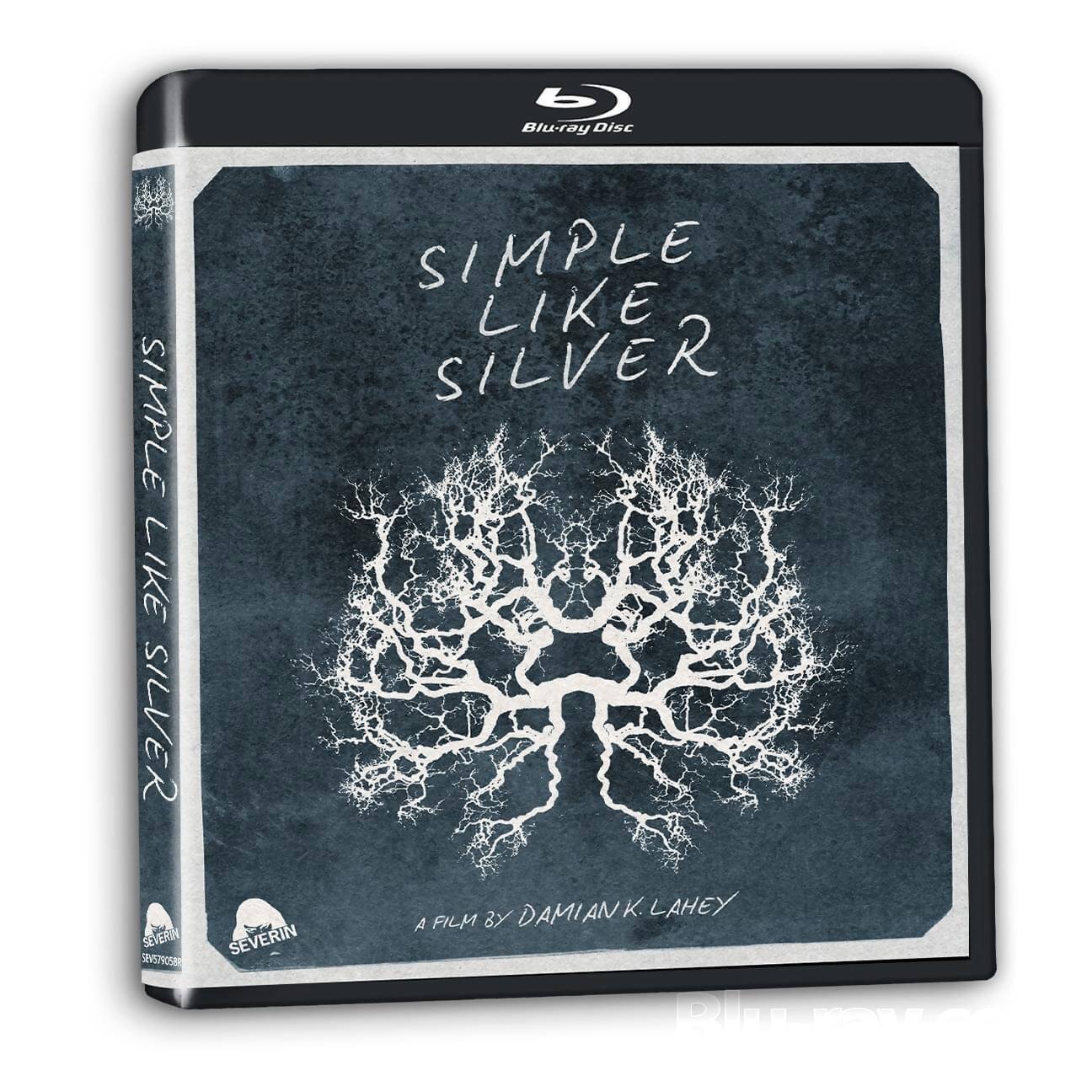 Simple Like Silver Blu-ray