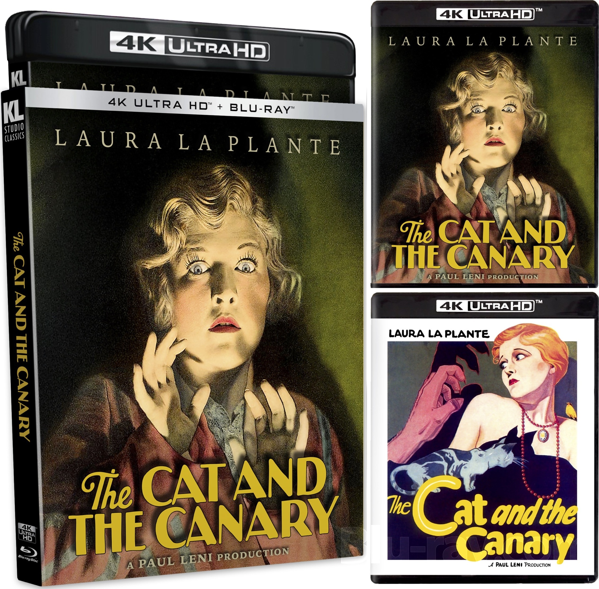 The Cat and the Canary 1927 4K Blu-ray from Kino - The Classic Horror ...